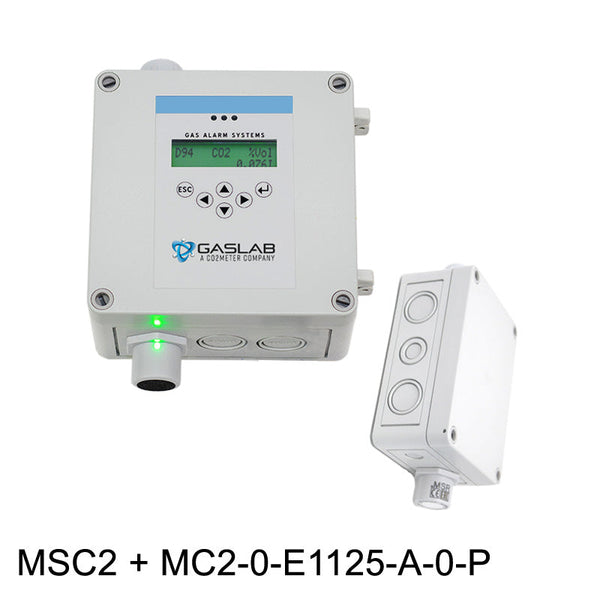 Ammonia (NH3) Fixed Gas Detector w/ Remote Sensor (0-100ppm) - GasLab.com